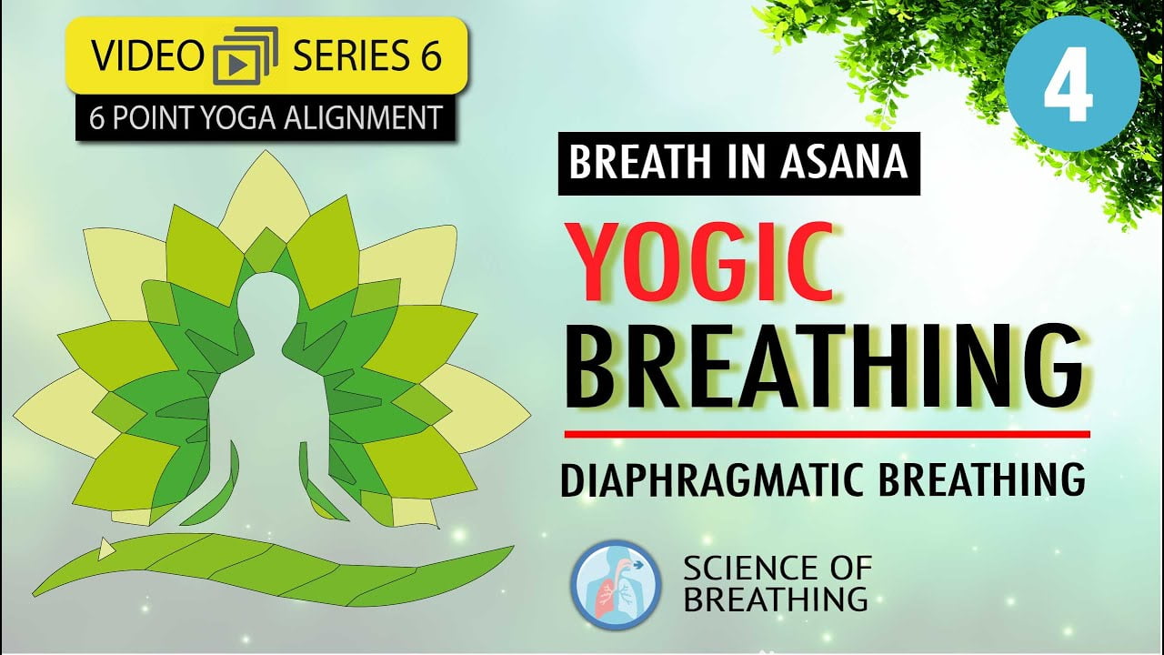 Yogic Breathing for a Balanced Mind| YogaFX Teacher Training
